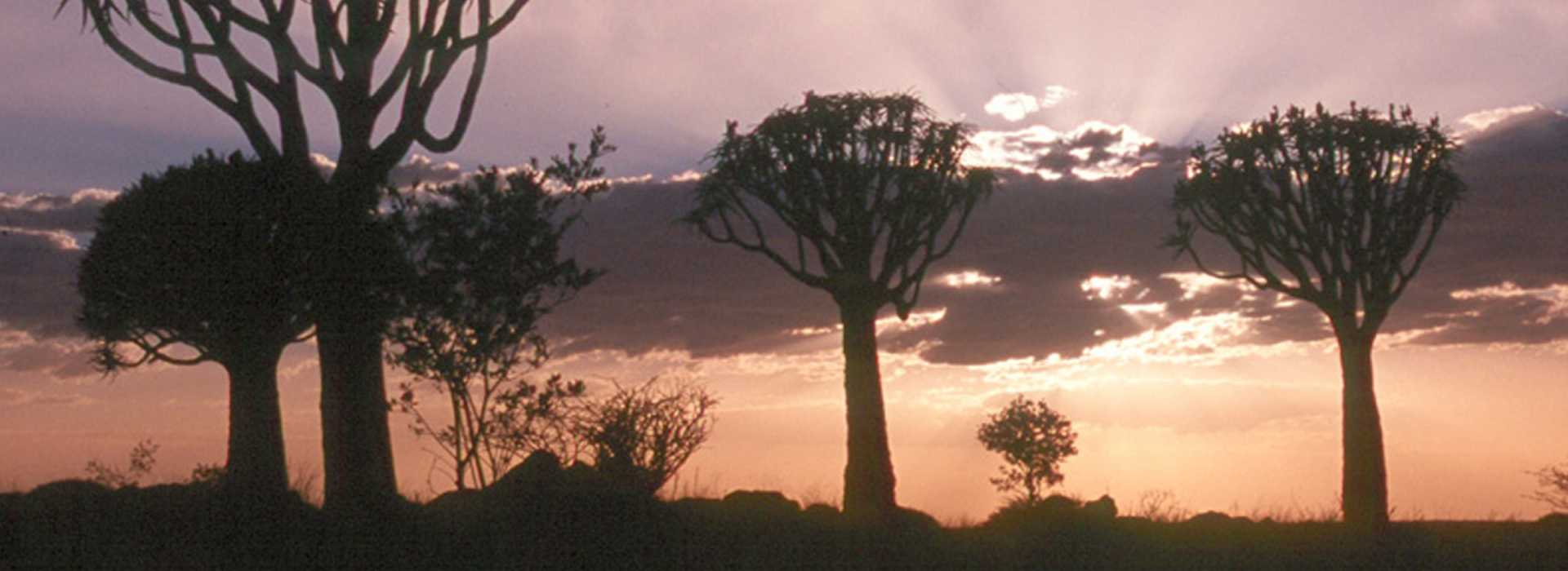 Namibia - Otavi | Somak Holidays