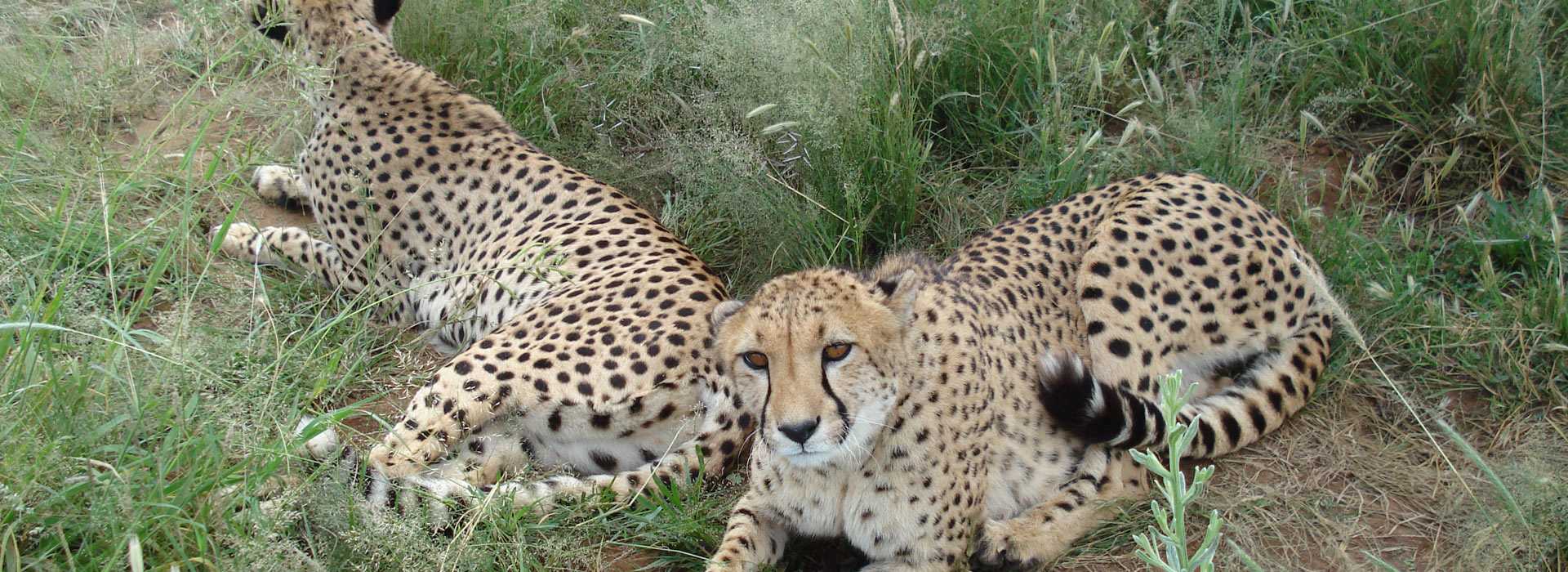 Namibia - Otjiwarongo | Somak Holidays