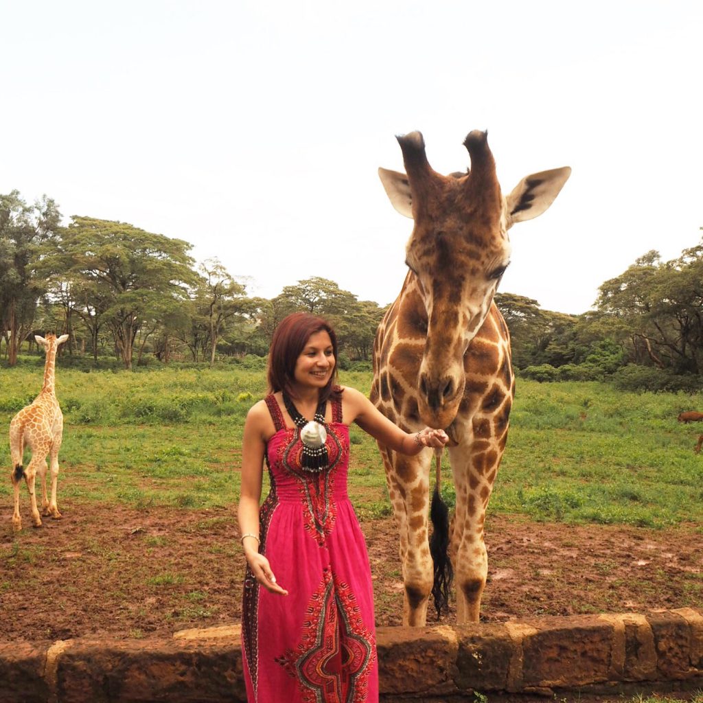 Amazing Animal Encounters in Africa - Somak Luxury Travel