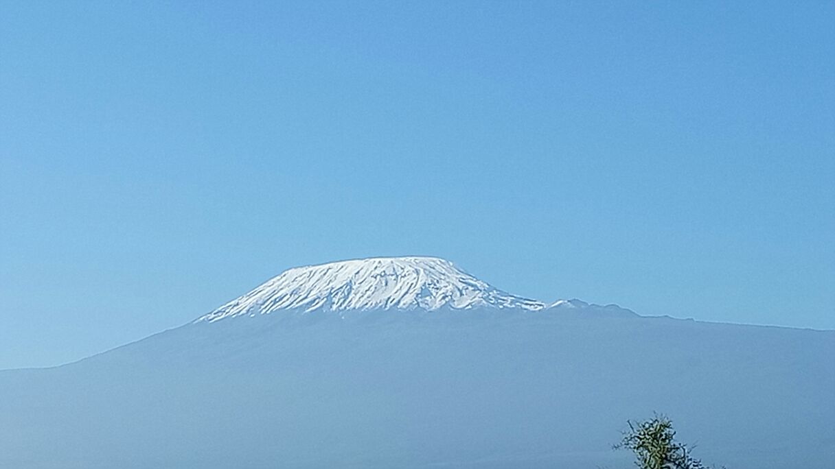 Spotted on Safari this week! - Somak Luxury Travel