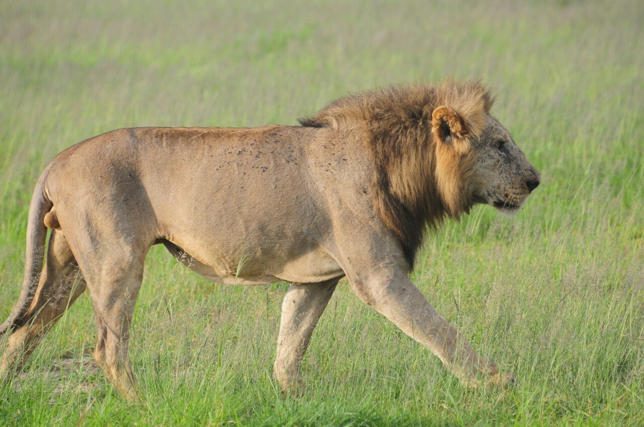 Spotted on Safari This Week by Bushra Sultan, Managing Director of ...