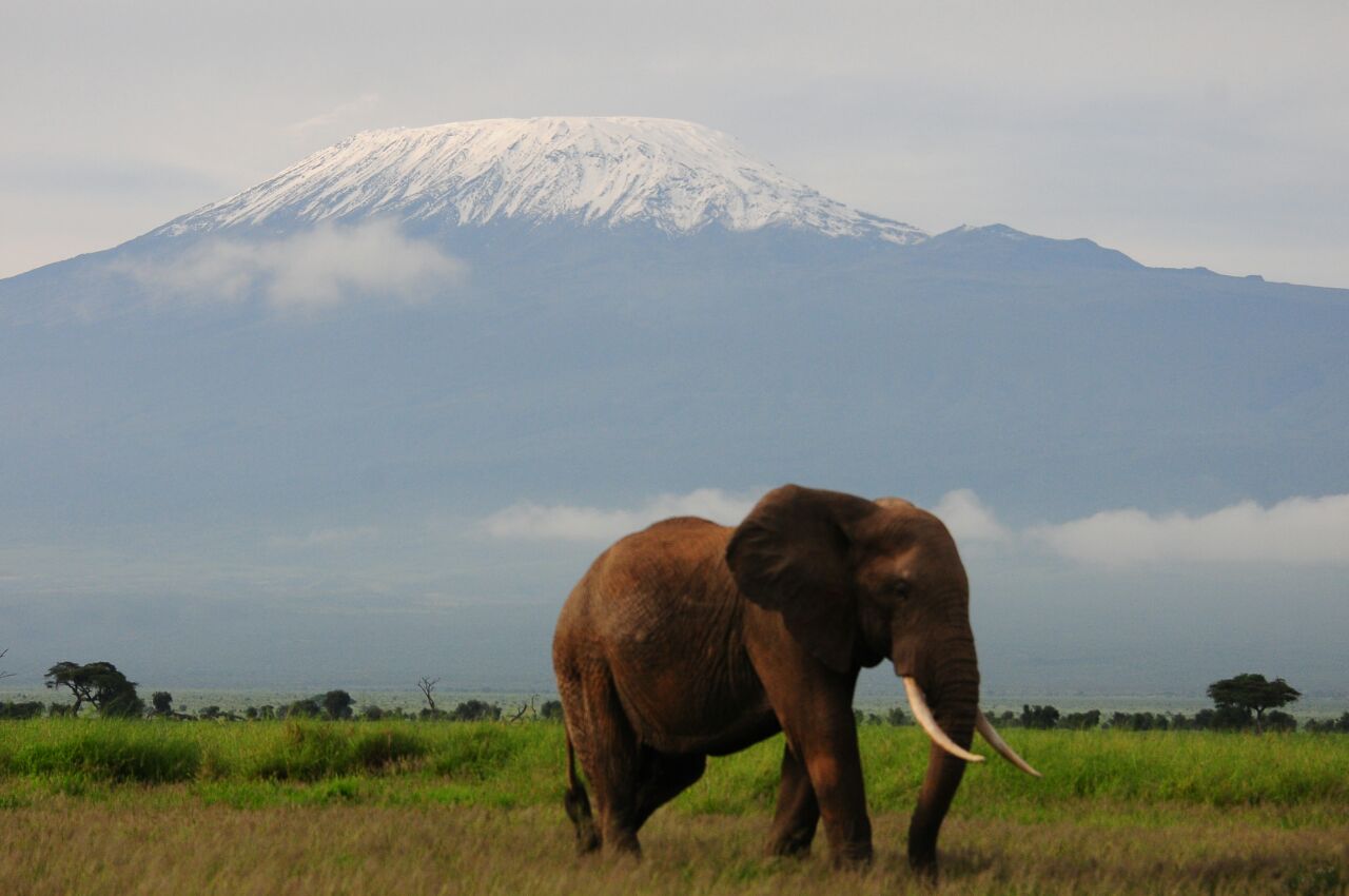 Spotted on Safari This Week by Bushra Sultan, Managing Director of ...