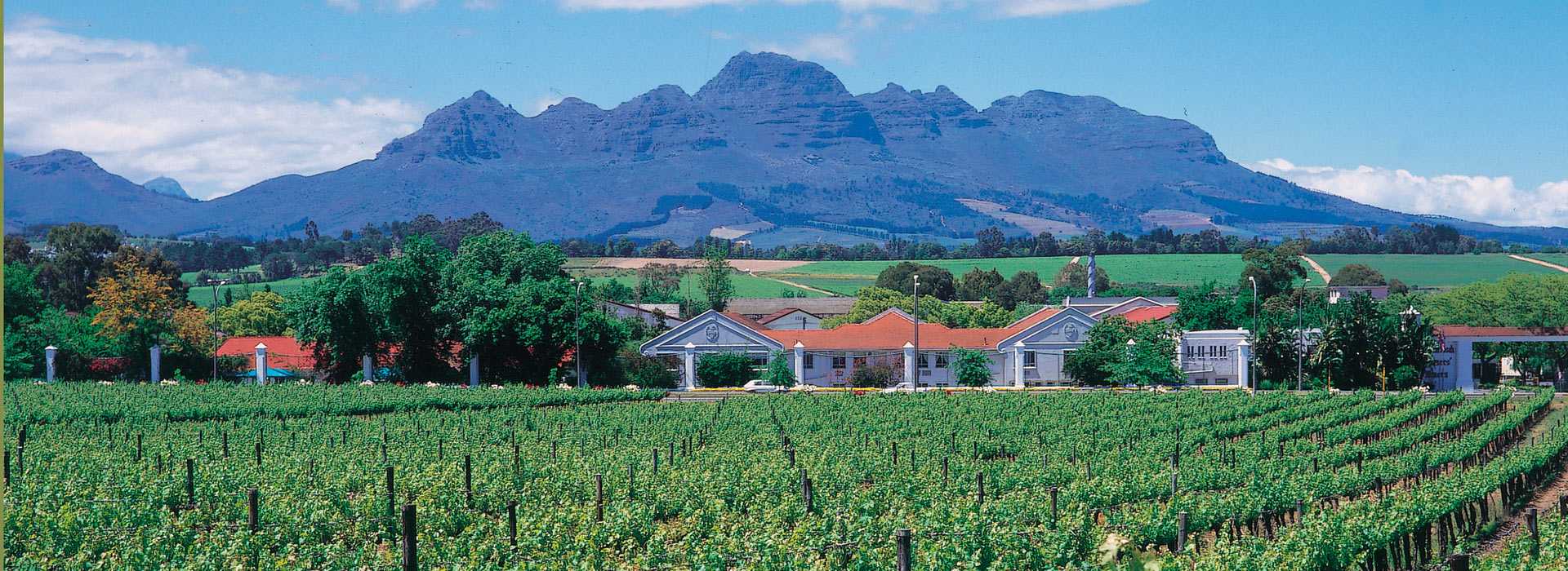 The Cape Winelands - Somak Luxury Travel