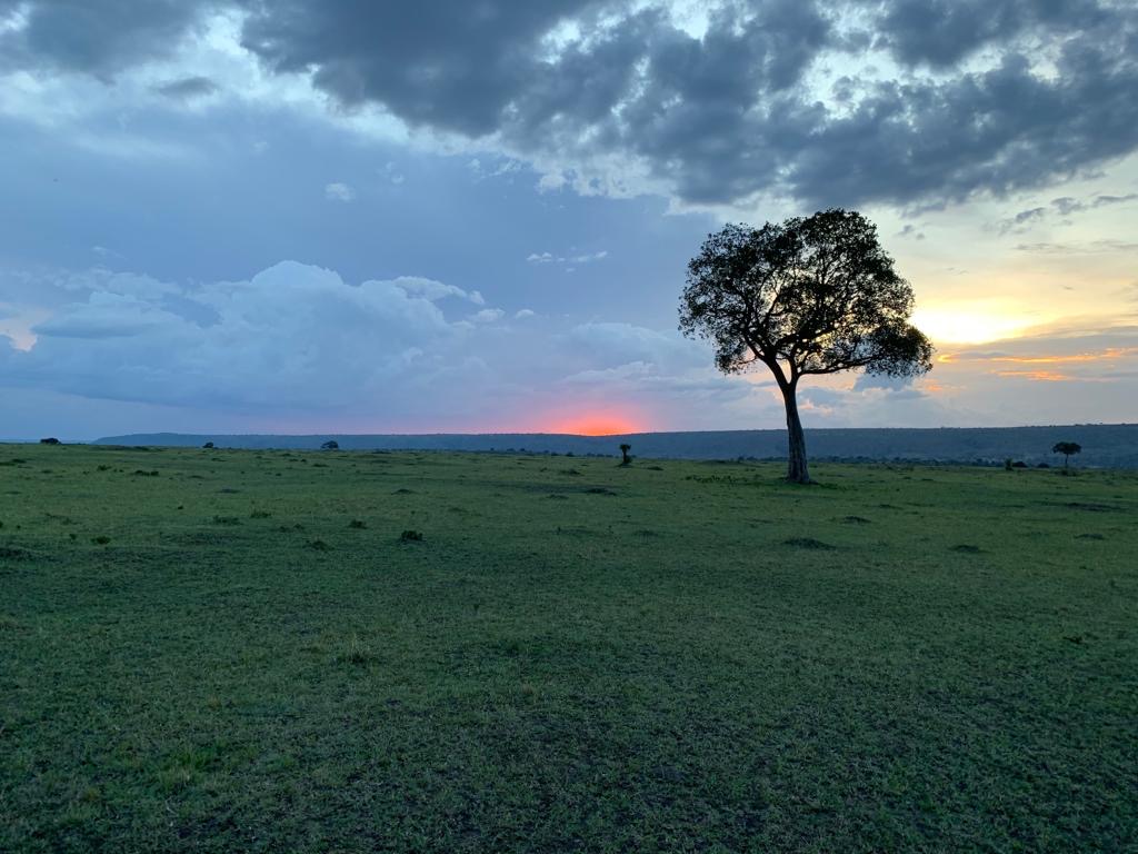 Ash's four night Kenyan safari with The Elewana Collection - Somak ...