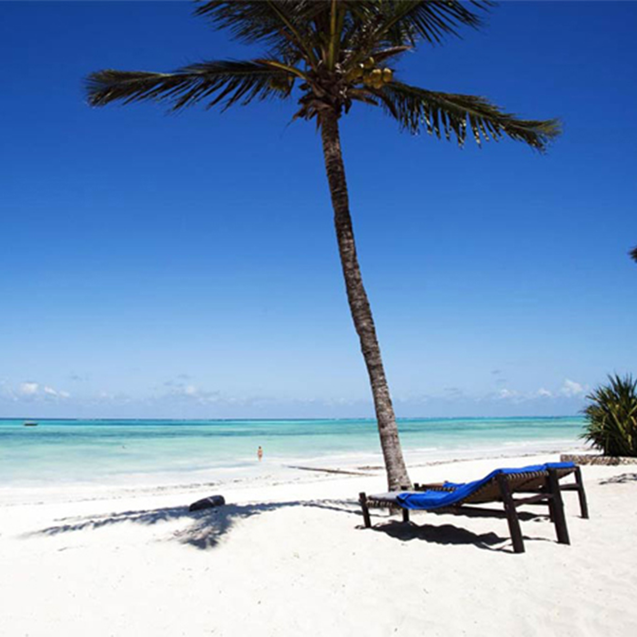 Karafuu Resort & Spa - a Zanzibar holiday won't disappoint! - Somak ...