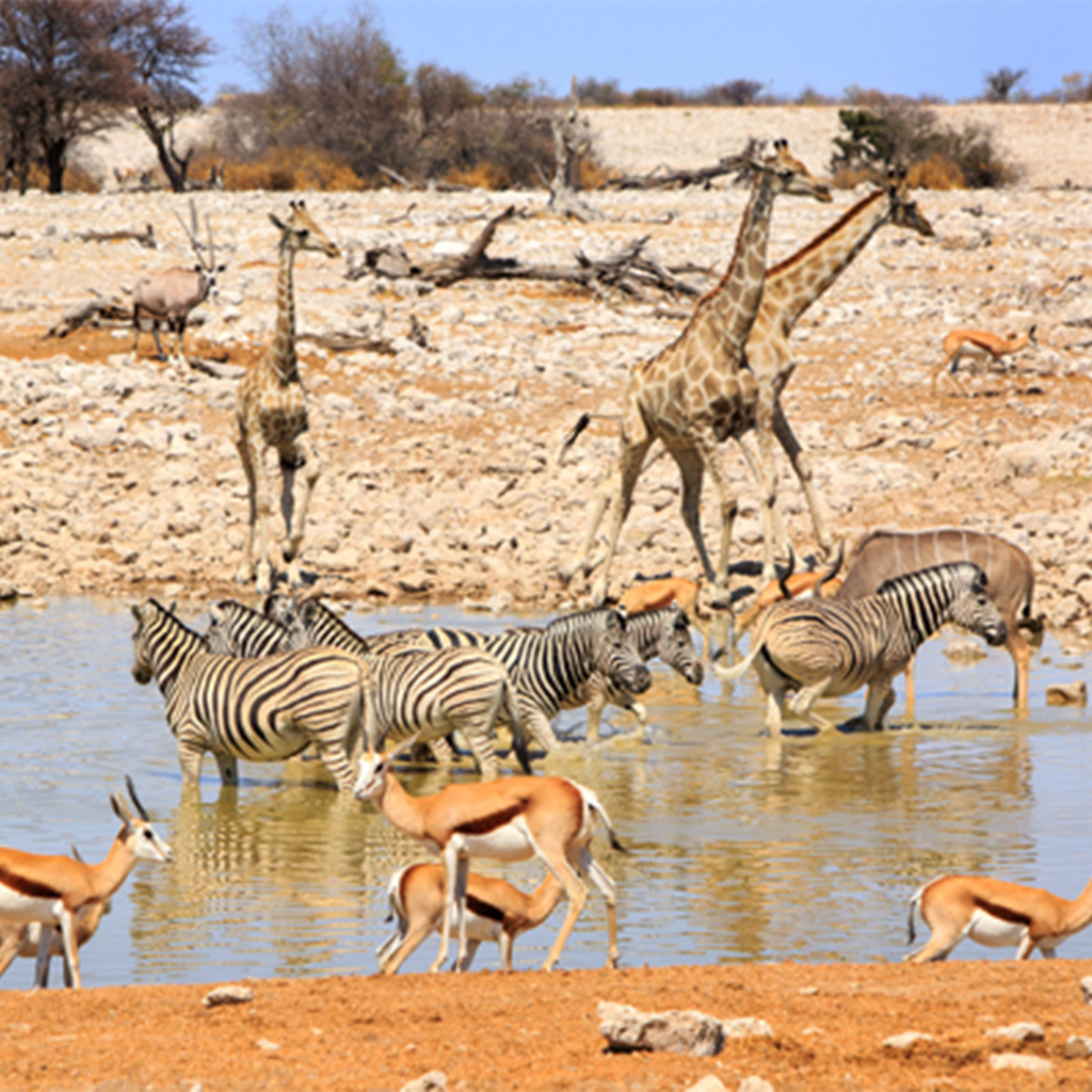 Where to go in May - Somak Luxury Travel