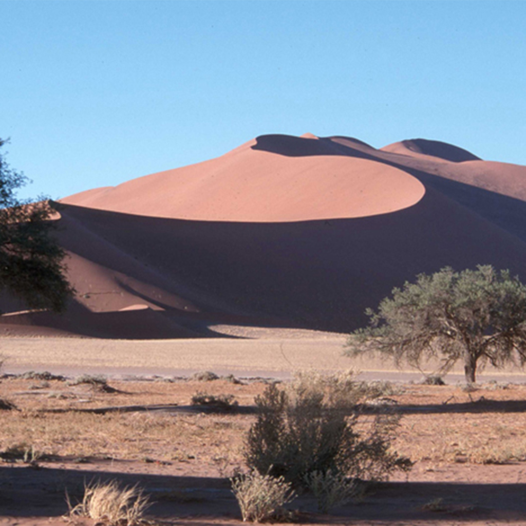 Where to go in August