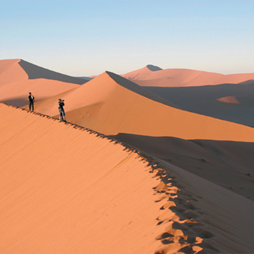 Where to go in December