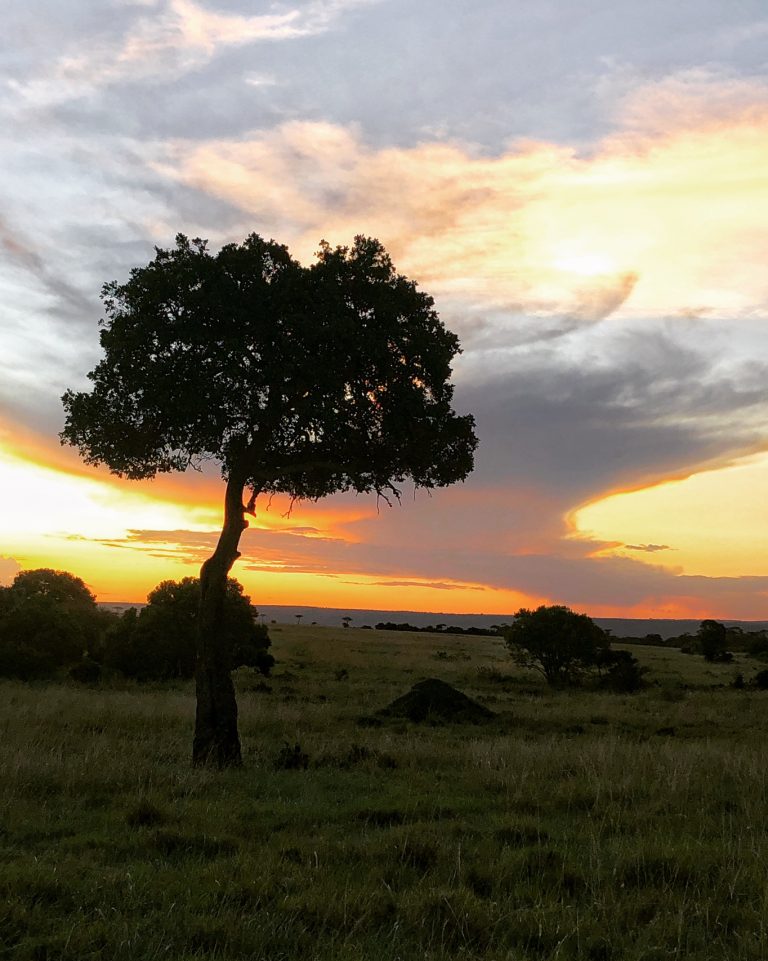 African Safari Diaries : Spotting The Big Five in The Masai Mara ...