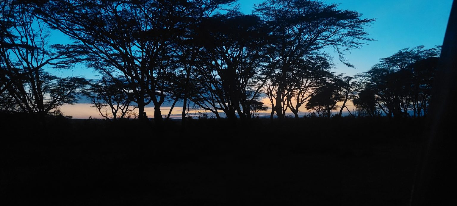 African Safari Diaries: A Bespoke Safari in Kenya - Somak Luxury Travel