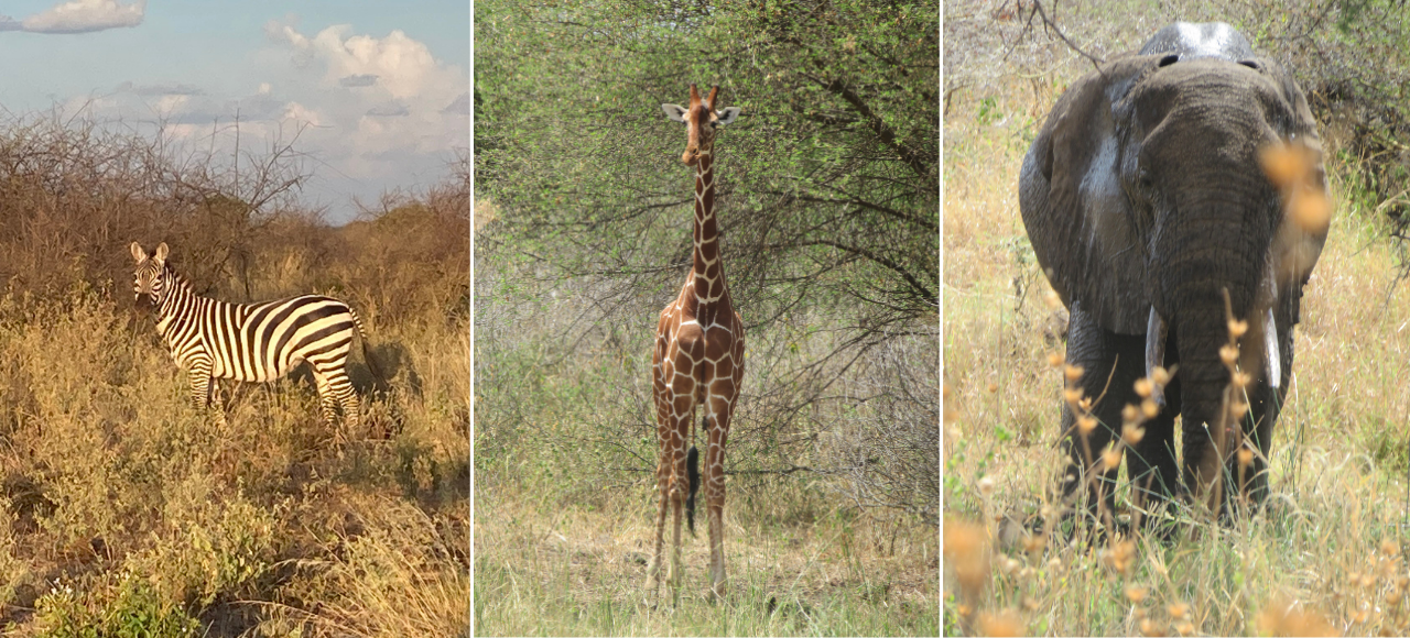 A Tailor-Made Flying Safari in Kenya - Somak Luxury Travel